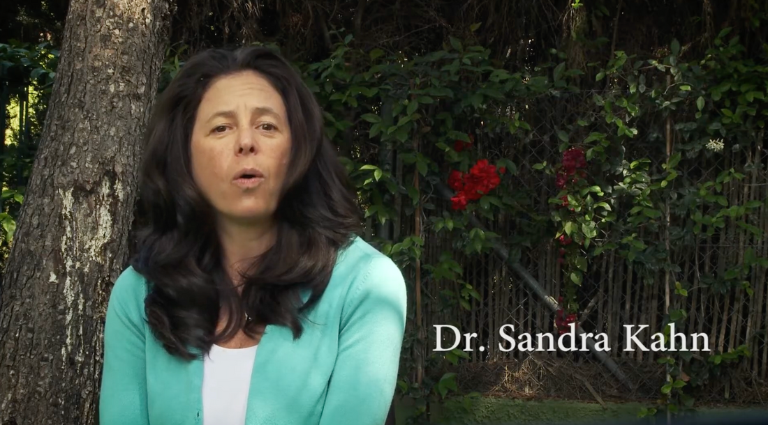 GOPEx – Forwardontics